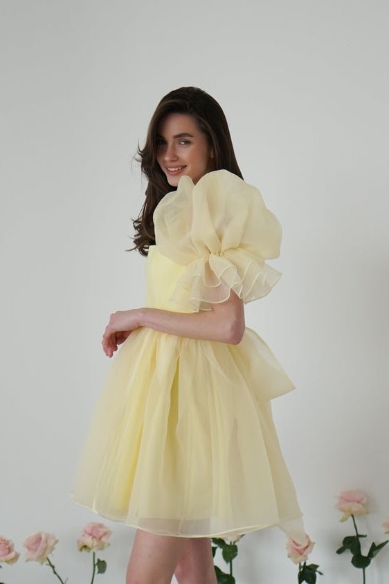 Simple Short Mini Party Dress Homecoming Gown – TANYA BRIDAL